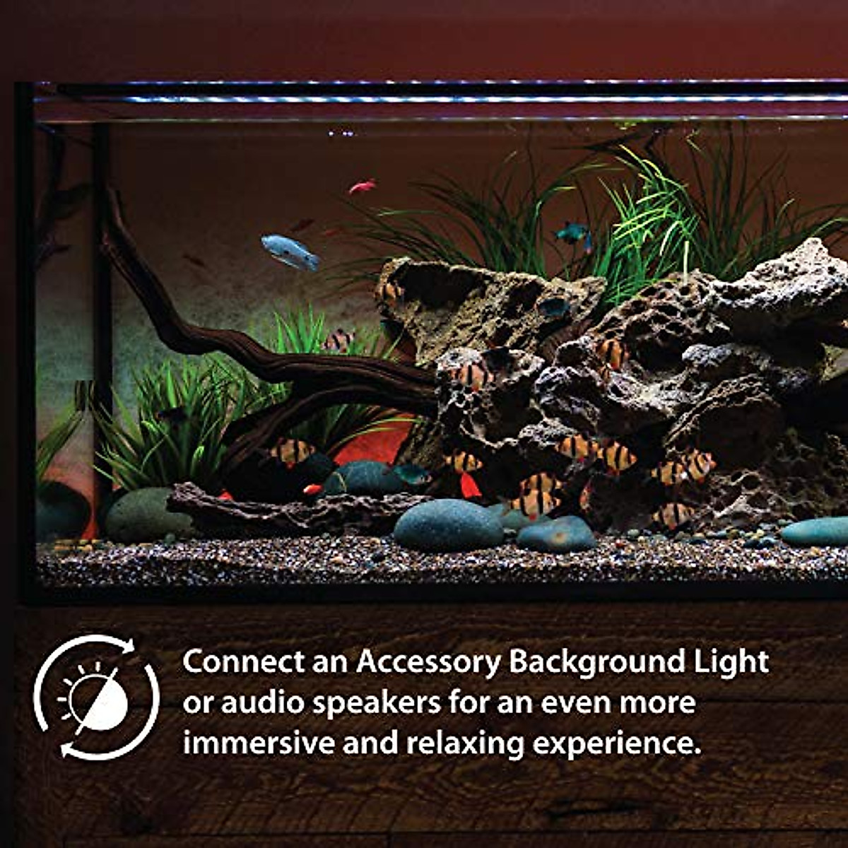 CURRENT USA Satellite Freshwater LED Plus Full Spectrum RGB+W Light for Aquariums 72'' with Wireless 24 Hour Remote Control