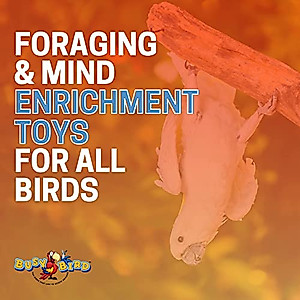 Busy Bird | Box Foraging Bird Toy - Rounded Corners, Non-Removable Wing Nuts - 100% Metal, Ultimate Brain Teaser and Mind Game for Medium to Extra Large Birds