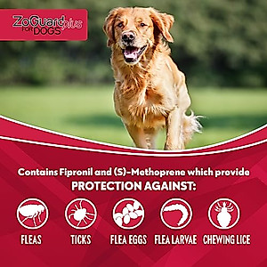 ZoGuard Plus Flea and Tick Prevention for Large Dogs – Flea & Tick Prevention for Dogs 45-88lbs (3 Doses)