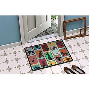 Caroline's Treasures MLM1156MAT Lots of Black Great Dane Doormat 18x27 Front Door Mat Indoor Outdoor Rugs for Entryway, Non Slip Washable Low Pile, 18H X 27W