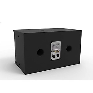 IDOLpro IPS-680 1000W Professional High Fidelity Vocal Coffee Brown Karaoke Speakers