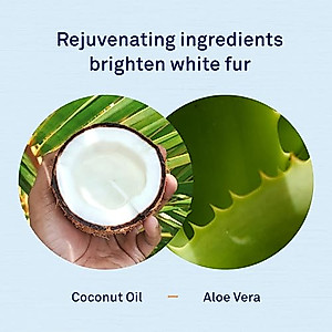 Petpost | Dog Whitening Shampoo - Best Lightening Treatment for Dogs with White Fur - Soothing Watermelon Scent - Maltese, Shih Tzu, Bichon Frise Approved 16 oz.