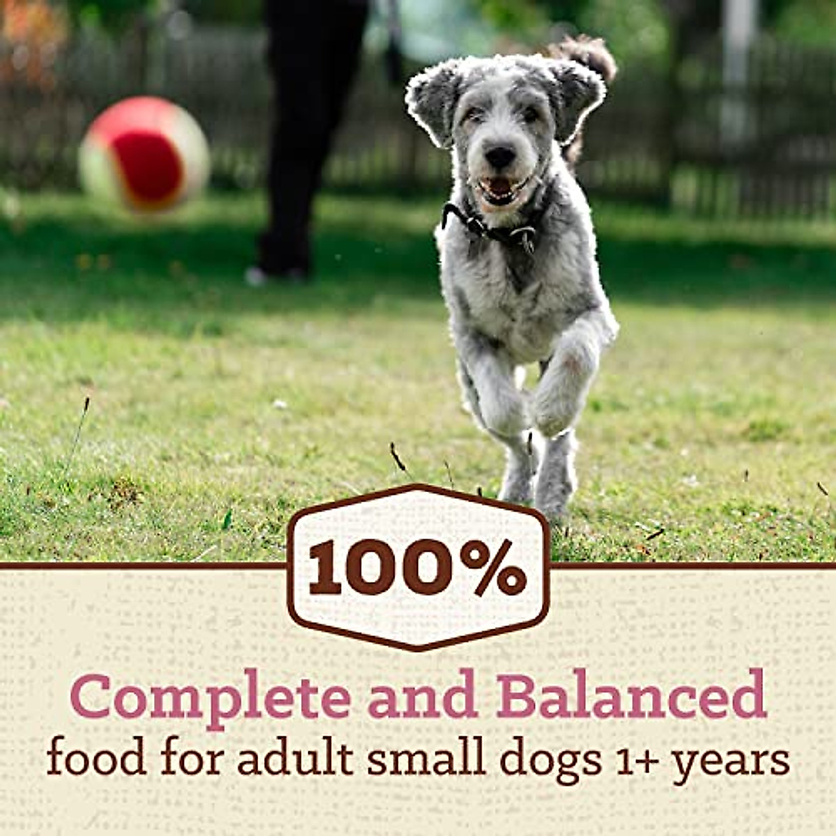 NUTRO MAX Adult Mini Chunk Recipe Dry Dog Food With Farm-Raised Chicken, 25 LB Bag