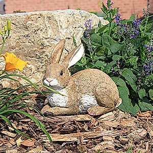 Design Toscano QM200861 Bashful The Bunny Lying Down Rabbit Outdoor Garden Statue, 10 Inch, full color