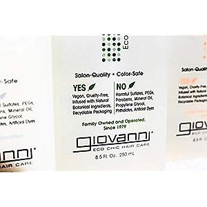 GIOVANNI Eco Chic Smooth as Silk Deeper Moisture Conditioner, 24 oz. - Apple + Aloe Extracts, Calms Frizz, Detangles, Wash & Go, Lauryl & Laureth Sulfate Free, Paraben Free, Color Safe