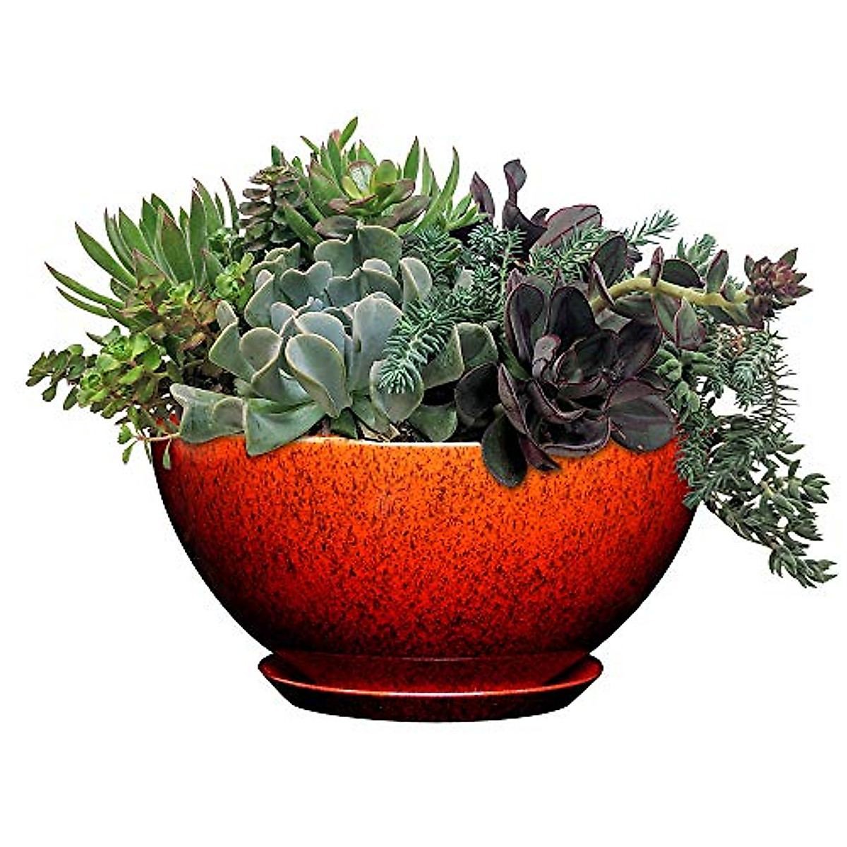 Classic Home and Garden 9010D-376R 10" Rosie Bowl Planter, Lava Red