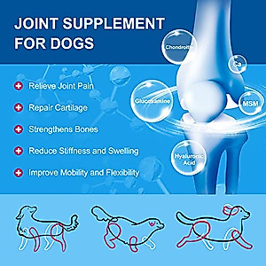 Dog Vitamins Powder, Probiotics & Digestive Enzymes for Gut Health, Glucosamine & Chondroitin & Omega 3, Complete Supplement for Homemade Dog Food, Joint & Skin & Immune Support, Dog Allergy Relief