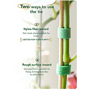 LE TAUCI Plant Ties, Garden Tape for Plant, Reusable Adjustable Thicker Support for Growing, Strong Grip, Tomato Vines Indoor Outdoor, 50 ft x 0.47 Inch, 1 roll, Green