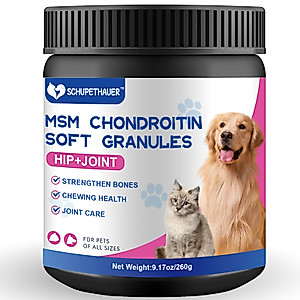 Pet Glucosamine Chondroitin MSM Joint Supplement for Dogs& Cats, Hip & Joint Pain Relief Soft Chews with Vitamin C, A & D3, 170 Chews