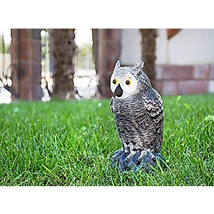 BRITENWAY Ultimate Scarecrow Owl Decoy Statue Realistic Fake Owl Outdoor Bird Deterrent, Hand-Painted Garden Protector, Scares Away Squirrels, Pigeons, Rabbits & More 10,5” Hollow Design