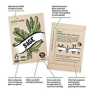 10-Pack Culinary Herb Seeds, Non GMO Herb Garden Seeds with Parsley Seeds, Basil Seeds, Sage Seeds, Chives Seeds, Cilantro Seeds, Rosemary, Thyme, Dill, Summer Savory & Oregano Seeds for Planting