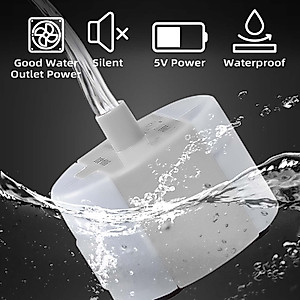 Ultra-Quiet Replacement Pump for Stainless Steel Cat Water Fountains - SMA-800 Motor - Safe and Easy to Clean with Low Voltage DC 5V and USB Cable (Side Suction Pump)