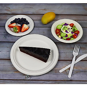 CantaGreen 12 OZ Compostable Bowls,100 Count Heavyduty Sugarcane/Bagasse and Bamboo Fibre Biodegradable Disposable Paper Bowls