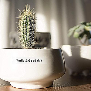 6 Pack Colors + 2 Pack Clear Compatible Label Tape Replacement for Brother P Touch TZe TZ Laminated Tape 12mm 0.47 Inch for Label Maker PT D210 H100 1280 D400, 8-Pack