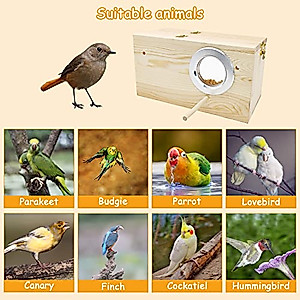 PINVNBY Natural Wood Parakeet Nesting Box Budgie Breeding Box Acrylic Bird Nest for Cage Transparent Panoramic for Parrots, Cockatiels, Lovebirds, Canaries and Other Small Birds