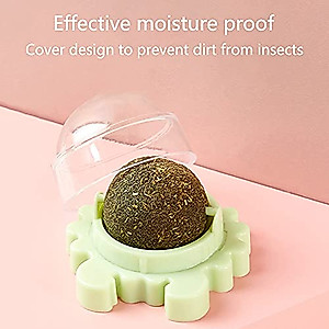 Kayina Catnip Wall Ball, 3-Piece Cat Toys, Edible Cat Licking Toy, Cat Chew Toy, Teeth Cleaning Cat Bite Toy, Rotatable Indoor Cat Toy, Cat Wall Decoration