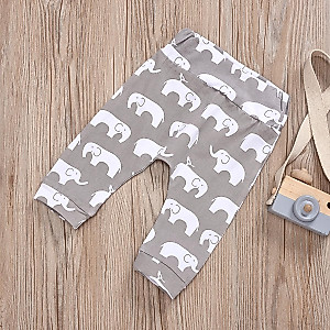 Aruzig Newborn Baby Boys Elephant Clothes Set Long Sleeve Romper Bodysuit Pants Hat 3Pcs Outfit (Long Sleeve Elephant, 0-3 Months)