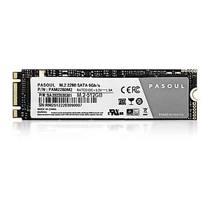 PASOUL SSD 512GB SATA M.2 2280 6GB/s Compliant 3D TLC Max Read 530MB/s Write 500MB PAM2280M2-512