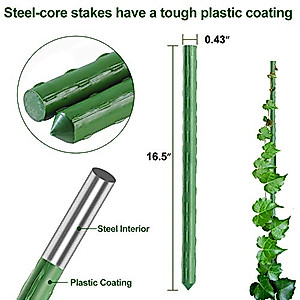 Odree 4 Pack Tomato Cages for Garden, 4ft Plant Support Garden Stakes, Garden Stakes Tomato Cage, Garden Trellis Stakes for Climbing Plants Vegetable