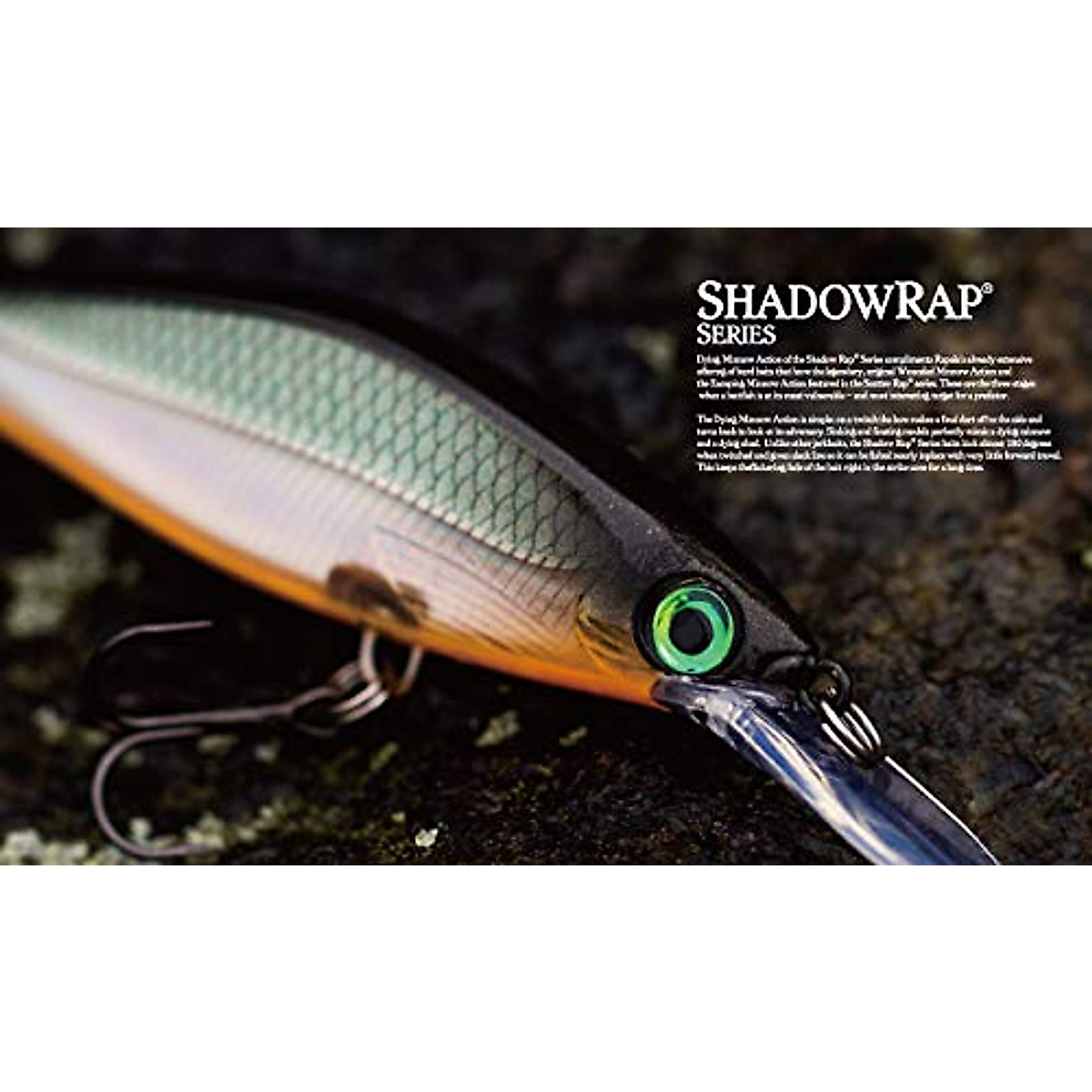 Rapala Shadow Rap Shad Deep Hard Bait Lure, Freshwater, Size 09, 3 1/2" Length, 5'-6' Depth, Moss Back Shiner, Package of 1, One Size, SDRSD09MBS