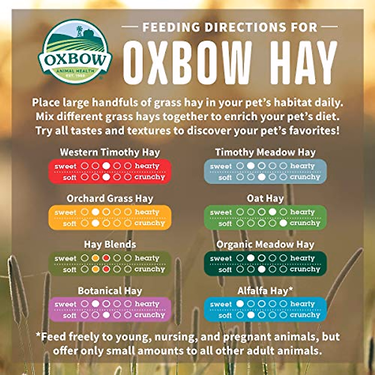 Oxbow Animal Health Orchard Grass Hay - All Natural Grass Hay for Chinchillas, Rabbits, Guinea Pigs, Hamsters & Gerbils - 50 lb.