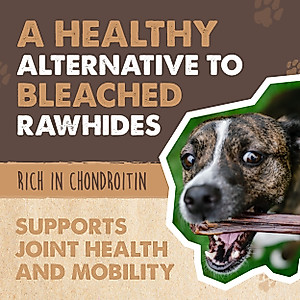 Mighty Paw - Beef Gullet Sticks for Dogs (6 Inch - 30 Pack) | Premium Beef Esophagus Dog Treats. Gullet Sticks, Ideal for Large and Small Dogs Teething and Light Chewing. Rawhide Free, Bulk Dog Chews