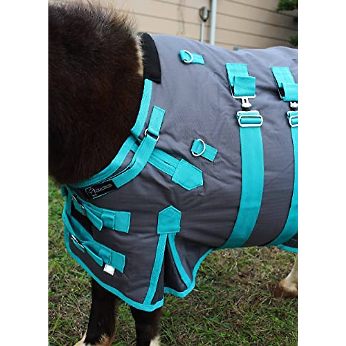 CHALLENGER 58" 1000D Miniature Weanling Donkey Pony Horse Foal Winter Blanket 51974TL