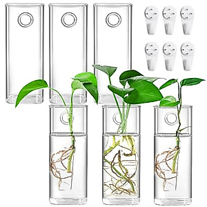 Fasmov 6 Pack Wall Hanging Glass Planters Plant Terrarium, Plants Holders Air Plants Succulents Planters Flowers Glass Wall Vase Containers for Plant, Decoration and Display, Square Vase, Clear