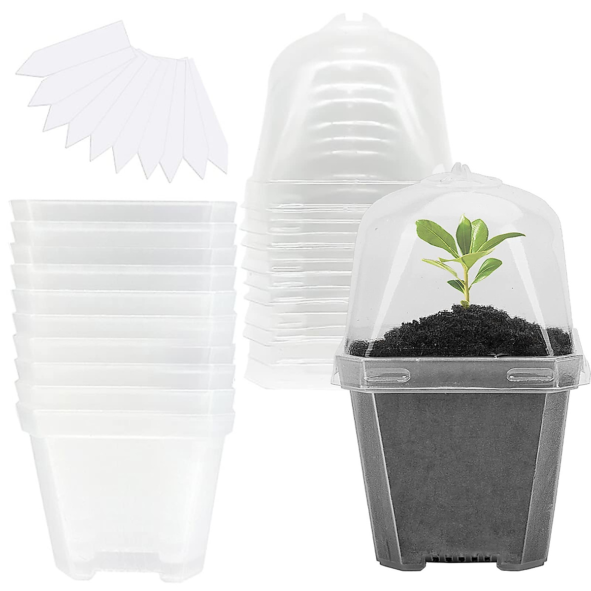 EBaokuup 4" Clear Plant Nursery Pots with Humidity Dome, 10PCS Plastic Gardening Pot Plant Container, Seed Starting Pot with Drain Holes for Seedlings/Vegetables/Succulents/Cuttings