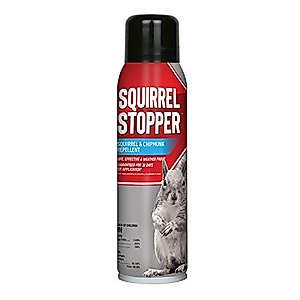Messina Wildlife Squirrel Stopper Repellent - Safe & Effective, All Natural Food Grade Ingredients; Repels Squirrels and Chipmunks; Ready to Use, 15 oz. Spray Can