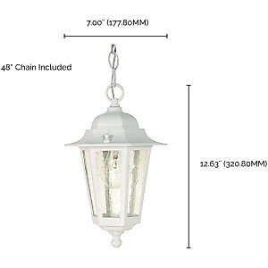 Nuvo 60/991 Hanging Lantern with Clear Seeded Glass, White