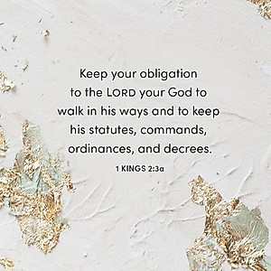 Trustworthy - Bible Study Book: Overcoming Our Greatest Struggles to Trust God