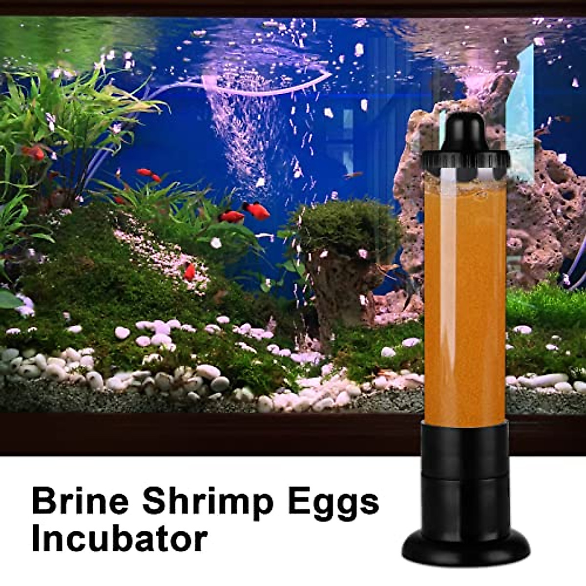 Brine Shrimp Eggs Incubator, Hatchery Artemia Eggs Hatchery Kit, Fish Tank Hatch Tool for Aquarium Brine Shrimp Eggs, Brine Shrimp Eggs Hatcher