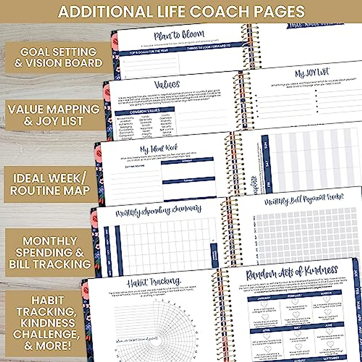 bloom daily planners 2024 (8.5" x 11") Calendar Year Day Planner (January 2024 - December 2024) - Weekly/Monthly Dated Agenda Organizer with Tabs - Poppy Meadow
