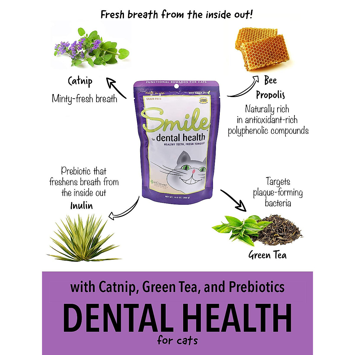 In Clover Smile Daily Dental Health Soft Chews for Cats, Support Healthy Teeth and Fresh Tongue with Catnip and Green Tea, Prebiotics, and Chlorophyll for Fresh Breath