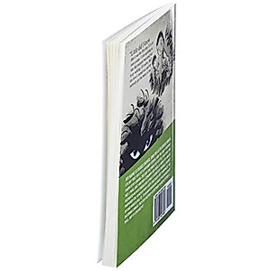 Diary of a 6th Grade Ninja