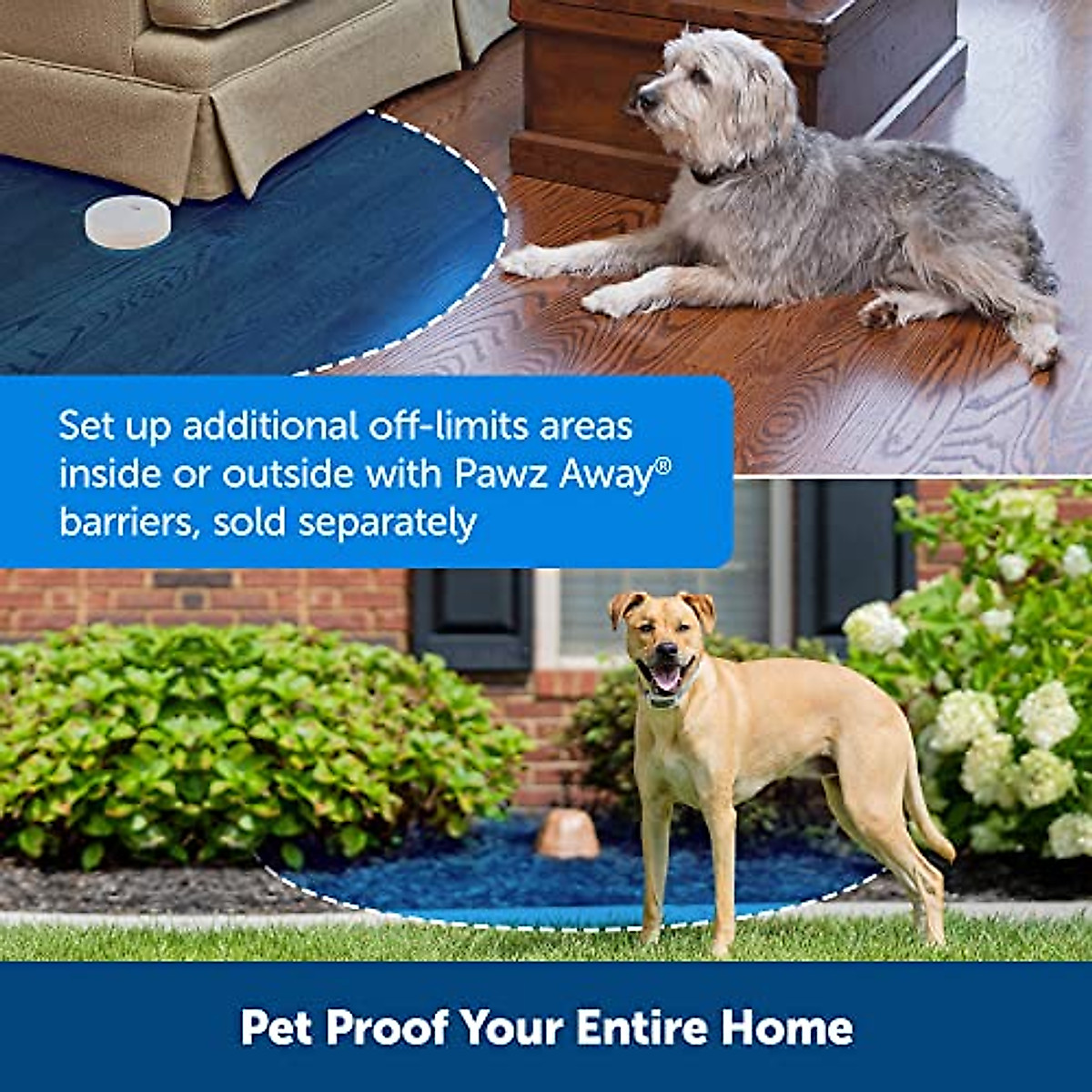 PetSafe Classic In-Ground Fence Rechargeable Receiver Collar for Dogs and Cats - from The Parent Company of Invisible Fence Brand - 7 Levels of Adjustable Static Correction - for Pets 5 lb and Up