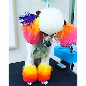 CRAZY LIBERTY Pets Hair dye (Pink), Permanent Dog Hair Dye, Non-Toxic Pet hair Dye, last more 24 washes.