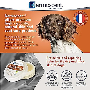 Dermoscent | Bio Balm | Natural, Organic, Healing Dog Paw Balm | Skin & Paw Soother For Dogs With Dry, Cracked, & Rough Paws | Veterinarian-Approved Paw Pad Moisturizer & Protector