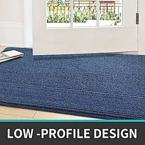 DEXI Front Door Mat Entry Doormat Non Slip Thin Washable Inside Entryway Mats for Home Entrance 19.5"x31.5",Blue
