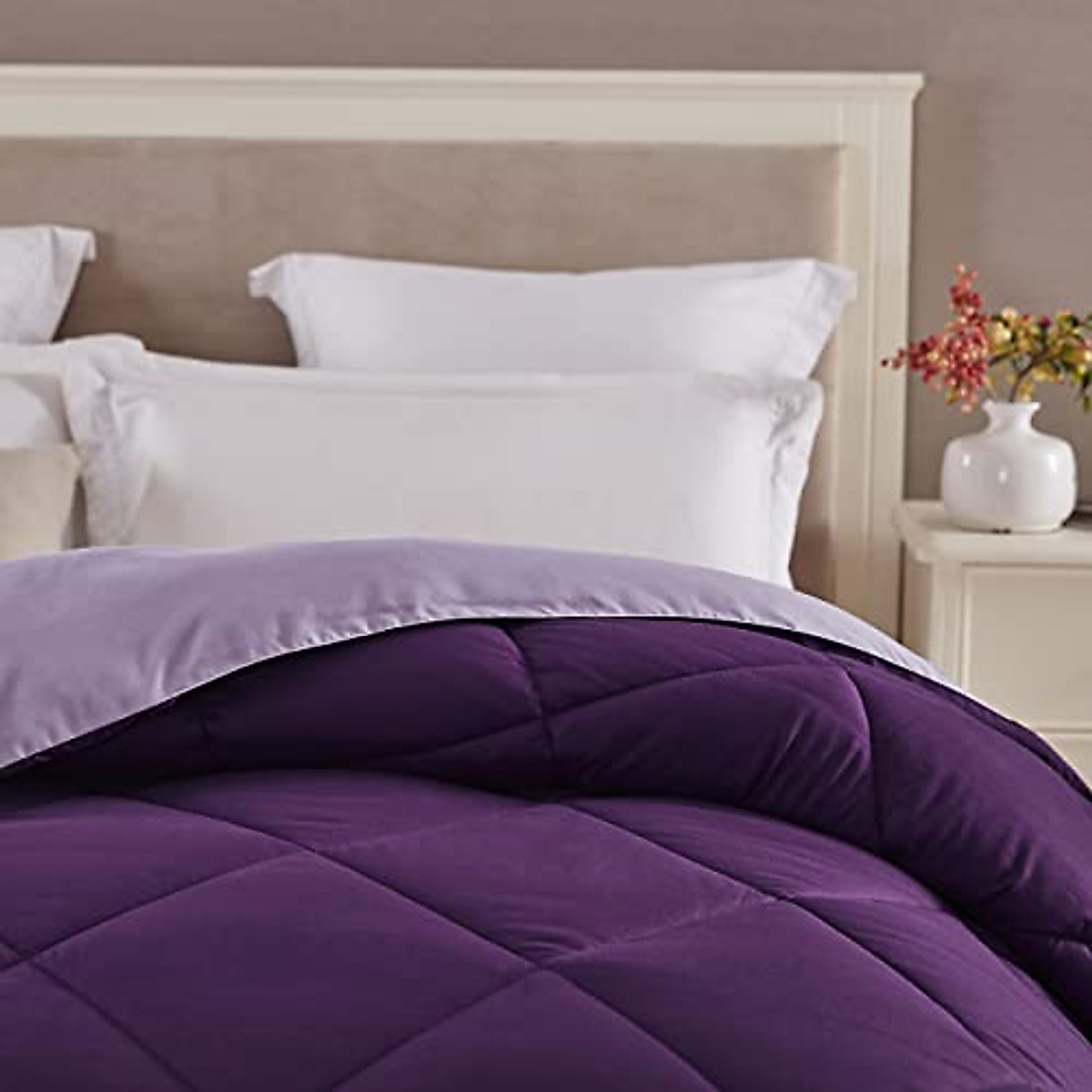 Seward Park Full/Queen Size Reversible Comforter Kids Lightweight Microfiber Fill Girls Bedding All Season Cooling Summer Bedspread Blanket Lavender Plum/Light Dark Purple