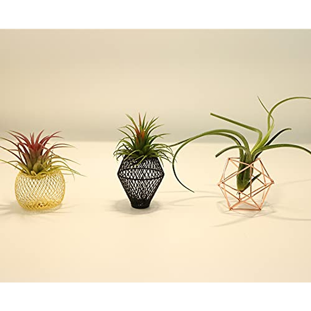 Newwe Pack of 3 Air Plant Holder Metal Airplant Pot Geometric Tabletop Decor Air Plants Planter Tillandsia Display for Home Office