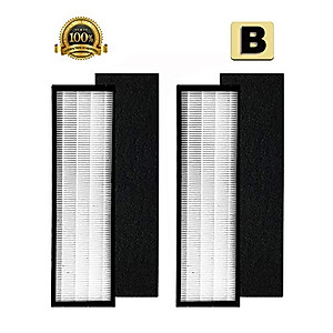 Flintar FLT4825 True HEPA Replacement Filter B, Compatible with GermGuardian Air Purifier AC4825 Series, AC4300BPTCA, AC4850PT, AC4900CA, CDAP4500BCA, Oransi Finn, 2-Pack