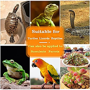 UVA UVB Reptile Light, UVB 10.0 LED Bulb, UVA UVB for Bearded Dragon, Full Spectrum Light Bulb for Lizards, Turtles, Spiders etc.