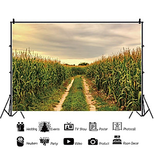 YongFoto 10x8ft Autumn Farmland Backdrop Green Cornfield Scene Photography Background Nature Landscape Rural Small Road Countryside Fall Harvest Theme Party Decor Kids Adult Portrait Studio Props