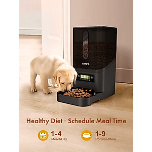 NPET Automatic Pet Feeder, 6L Dog and Cat Food Dispenser for Small & Medium Pets, Automatic Dog Feeder with Programmable Timer (Black)