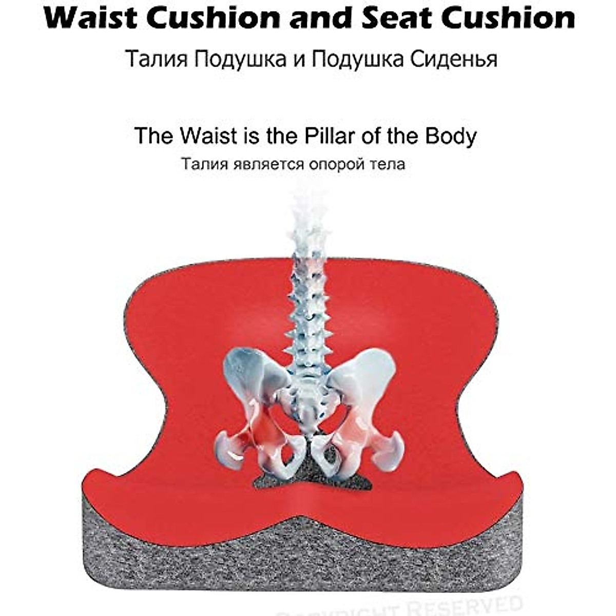 Odekai Ergonomic Seat Cushion for Office Chair, Orthopedic Memory Foam Coccyx Cushion for Tailbone Pain - Office Chair Car Seat Cushion - Seat Cushions for Pressure Relief