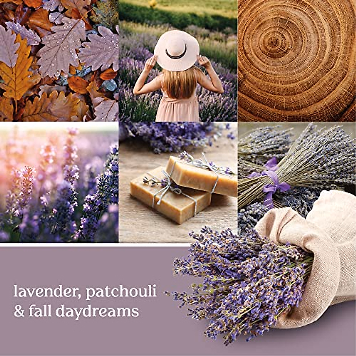 Yankee Candle Dried Lavender & Oak​ Scented, Classic 22 Oz Large Jar Single Wick Aromatherapy Candle, Over 110 Hours of Burn Time, Ideal for Creating a Welcoming Home (Pack of 2)