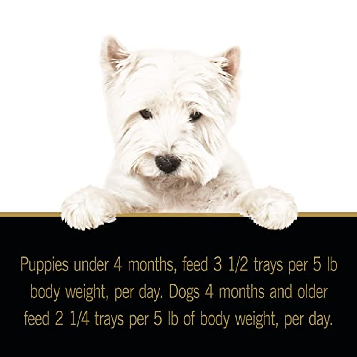 CESAR Puppy Soft Wet Dog Food Classic Loaf in sauce Chicken & Beef Recipe, 3.5 Ounce (Pack of 24) Easy Peel Trays