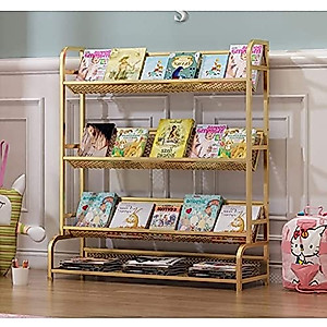 ROLTIN Bookcases Bookshelf Nordic Bookshelf 4-Tier Metal Bookcase Standing Bookshelves Open Display Shelf Home Office Storage Rack for Books and Magazines Bookcase (Color : Gold